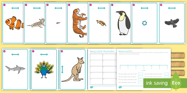 Measure It and Plot It Cards and Activity (teacher made)