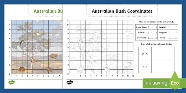 Australian Bush Coordinates (teacher made)