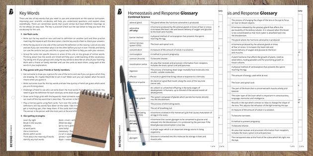 Homeostasis and Response Glossary | GCSE Biology | Beyond