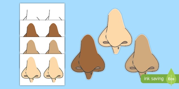 Nose Display Cut Outs (teacher made)