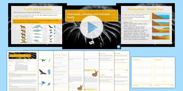 AQA Inheritance, Variation and Evolution Lesson 9: Fossils
