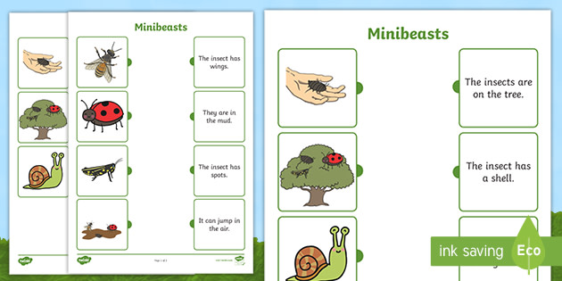 Minibeasts Matching Worksheet (teacher made)
