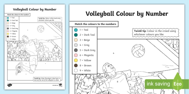FREE! - Volleyball Colour by Number Worksheet (teacher made)