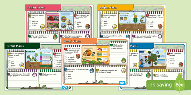 Year 1 Perfect Plants Reading Comprehension Activity Mat Pack