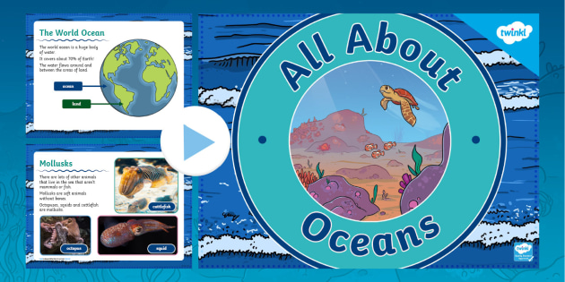 All About Oceans Information PowerPoint with Quiz