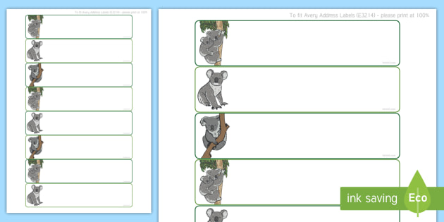 Koala Student Labels (teacher made)