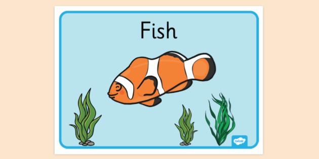 FREE! - Clownfish Display Poster | Primary Resources | Twinkl Made