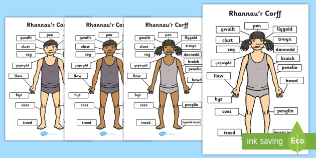 Rhannau'r Corff - welsh, cymraeg, labelu, corff, y corff