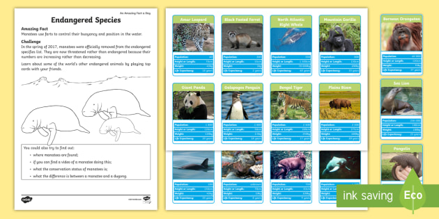 Endangered Species Top Card Game (teacher made)
