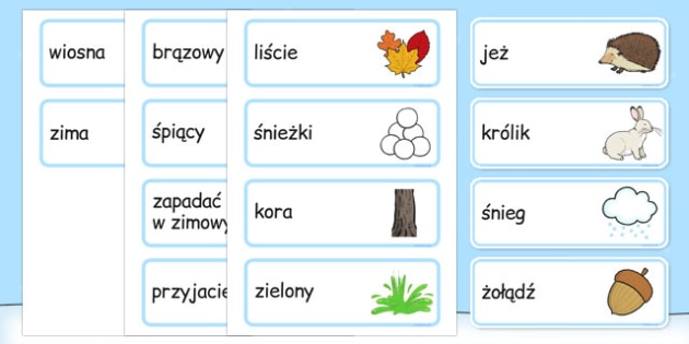 Zimowe słownictwo po polsku (teacher made)