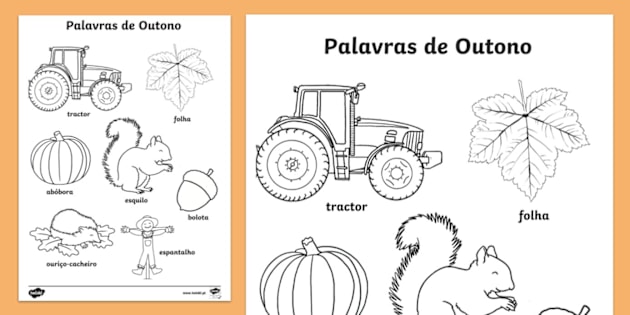 Desenho Animado De Vocabulario O LIVRO DAS PALAVRAS GRANDES E DOS