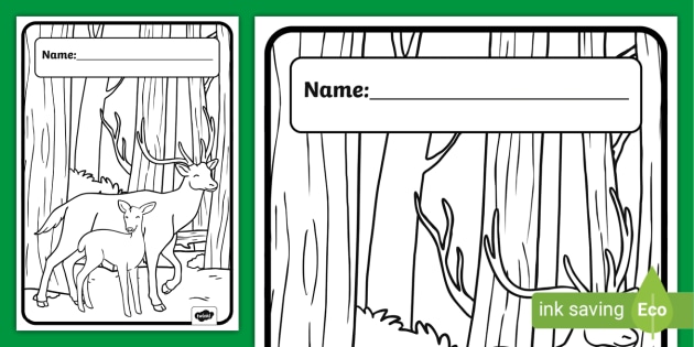 FREE! - Deer Colouring Book Cover (teacher made)