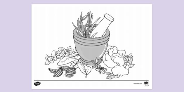 FREE! - Seasoning Colouring Sheet (teacher made)