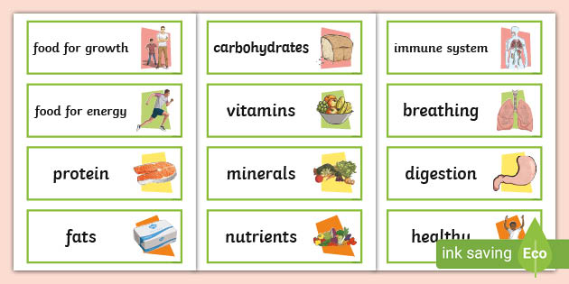 The Importance of Food Word Cards