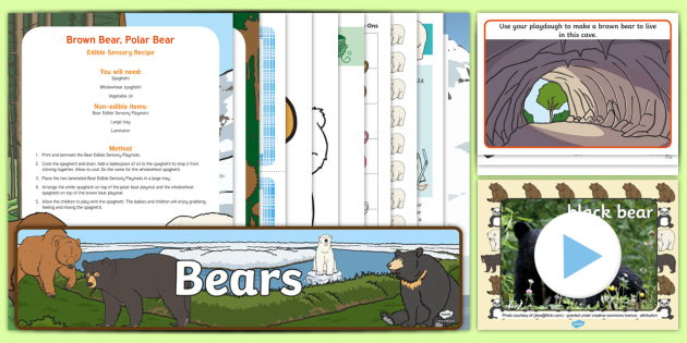 Childminder Bears EYFS Resource Pack (teacher made)