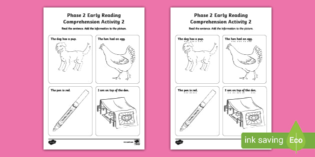 Phase 2 EYFS Reading Comprehension Activity 2 (teacher made)