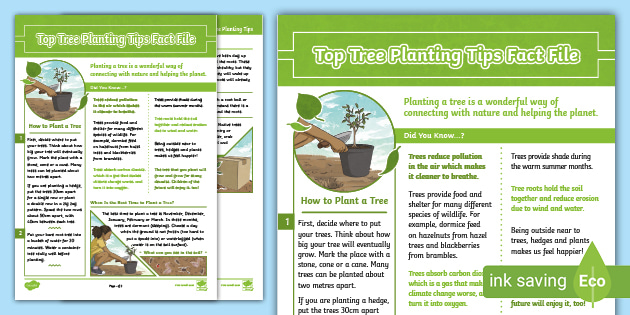 Top Tree Planting Tips Fact File (teacher made)