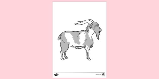 FREE! - Big Billy Goat Colouring Sheet | Colouring Sheets