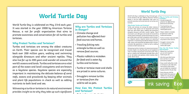 World Turtle Day For Older Students Fact Sheet