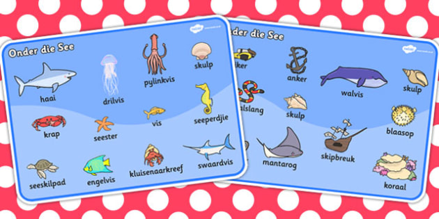 Afrikaans Onder Die See Woordmat - see, seediere, woordeskat