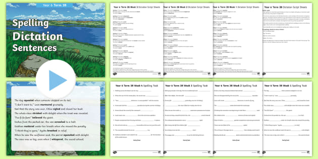 Year 6 Term 3B Spelling Dictation Sentences Activity Pack