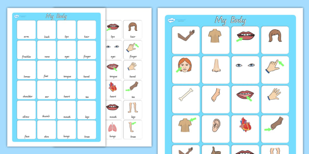 My Body Vocabulary Matching Mat (teacher made)