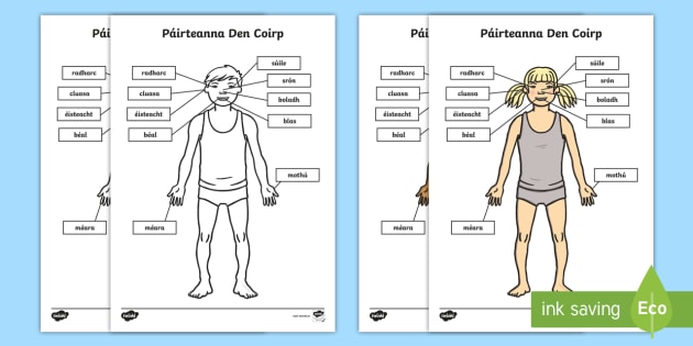 Gníomhaíocht Lipéadú: Páirteanna den Coirp