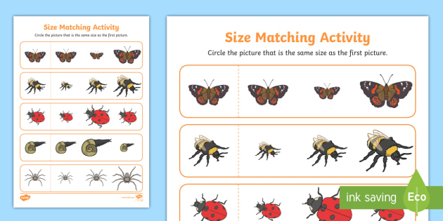 Minibeast Size Matching Worksheet (teacher made)