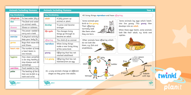 Science Knowledge Organiser: Animals Including Humans Year 2