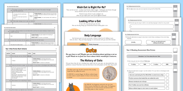 Year 4 Term 2 Non-Fiction Reading Assessment (teacher made)