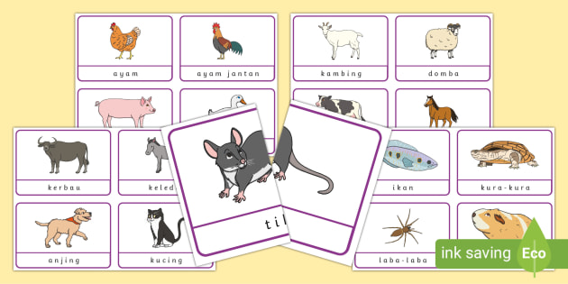 Animal Halves Matching Cards Indonesian Binatang
