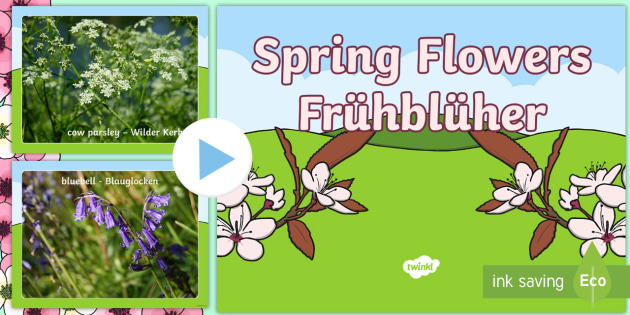 Botany Powerpoint • Twinkl.com.au