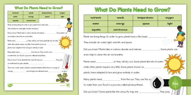 Things Need To Grow Plants