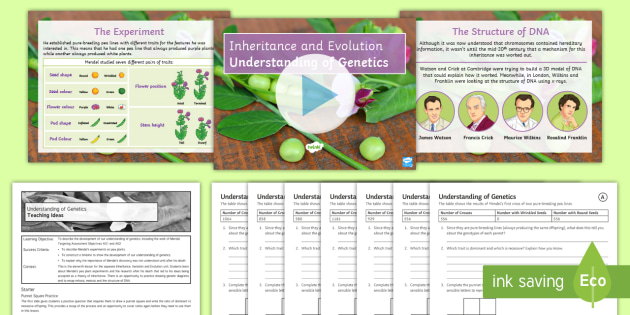 Gcse Inheritance Variation And Evolution Lesson 11 Understanding Of