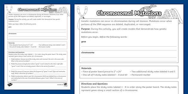 Chromosome Mutation Worksheet