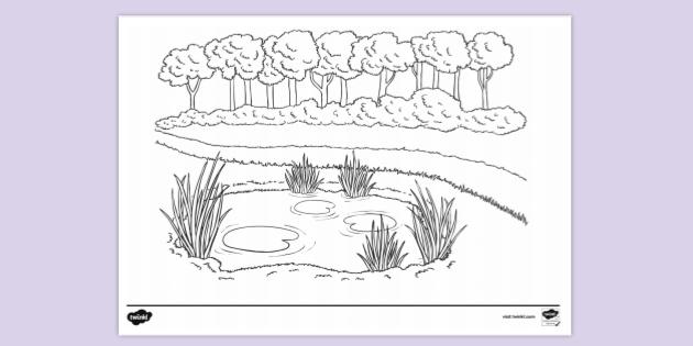 FREE! - Path Ground Colouring Sheet | Colouring Sheets