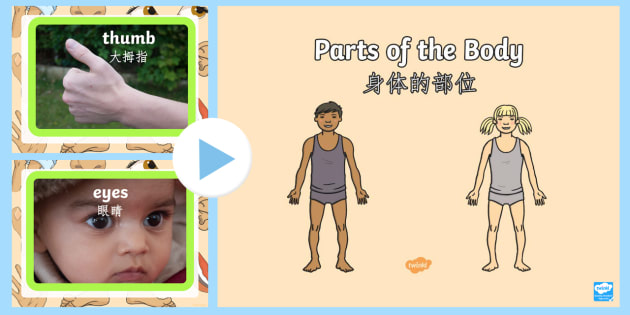 Parts of the Body PowerPoint English/Mandarin Chinese - Parts of the Body