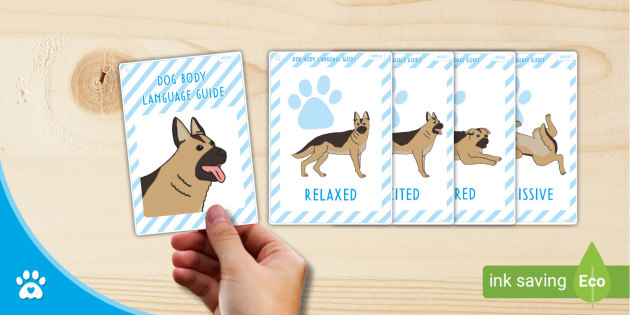 Dog Body Language Guide - Display Cards (teacher made)