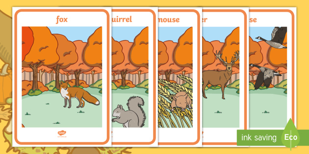Pictures of Autumn Animals - Display Posters - KS1