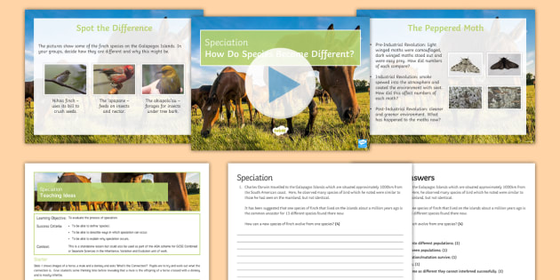 Speciation Lesson Pack