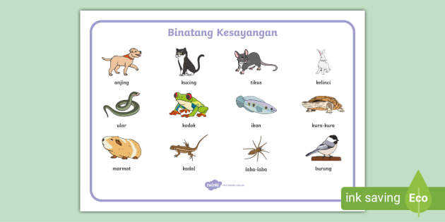 Pet Animals Word Mat Indonesian Binatang (teacher made)