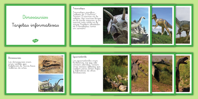Tarjetas informativas los dinosaurios (teacher made)