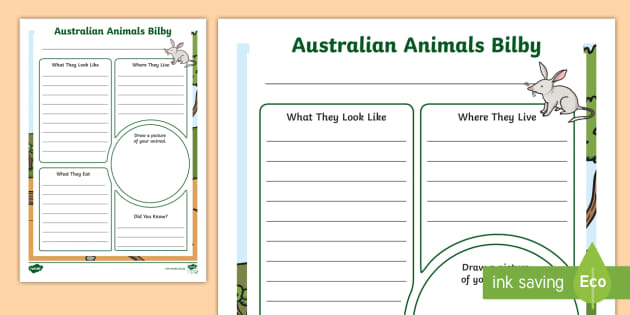 Australian Animals Bilby Information Report Writing Template