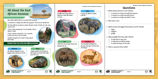 Y1 All About the East African Savanna Reading Comprehension