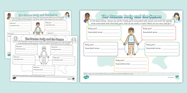 Human Bodies Mind Map | twinkl.com.au