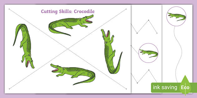 Crocodile-Themed Cutting Skills Worksheet (teacher made)