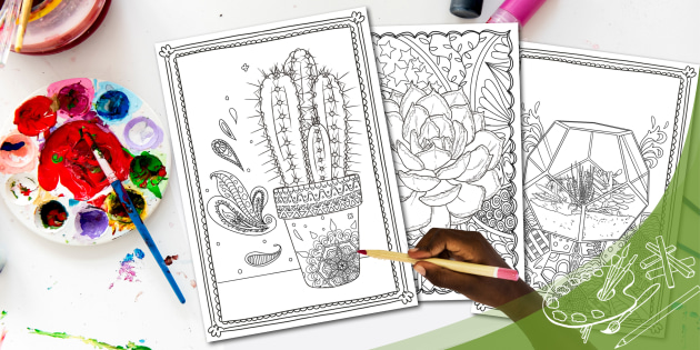 Succulents Cactus Mindfulness Colouring Activity Poster Pack
