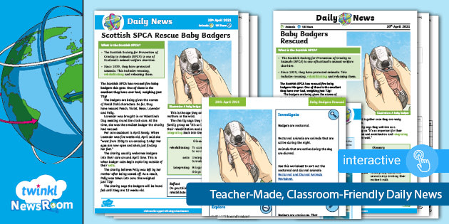 Badger Reading Comprehension | Twinkl NewsRoom Resources