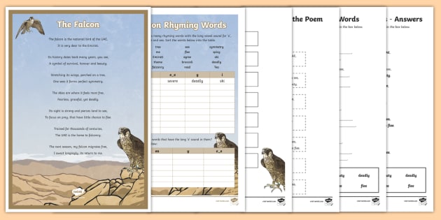 The Falcon Poem Activity Pack (teacher made)