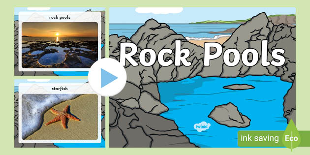 Rock Pool Photo PowerPoint (teacher made)
